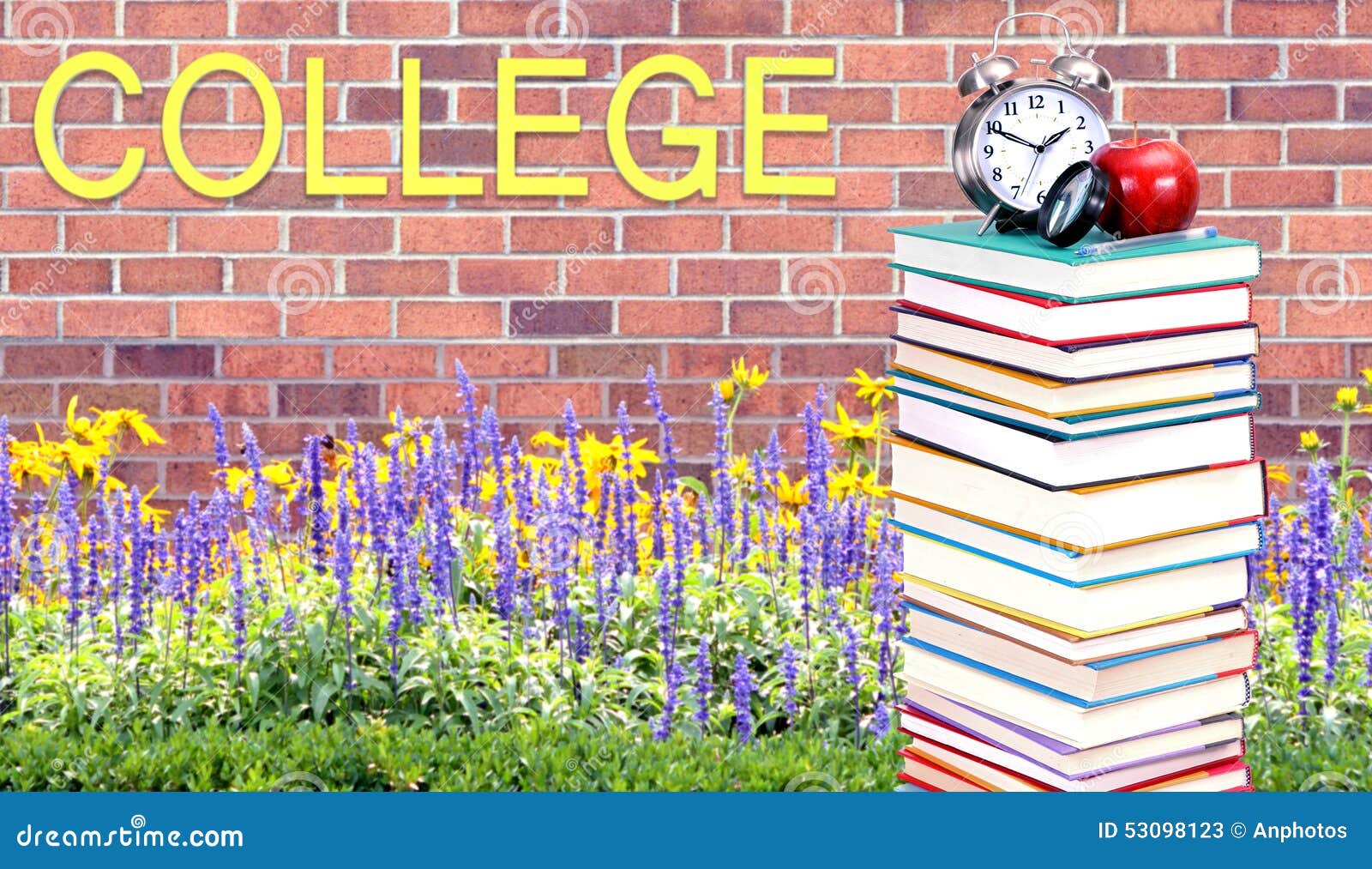 Book and university stock image. Image of brown, pile - 53098123