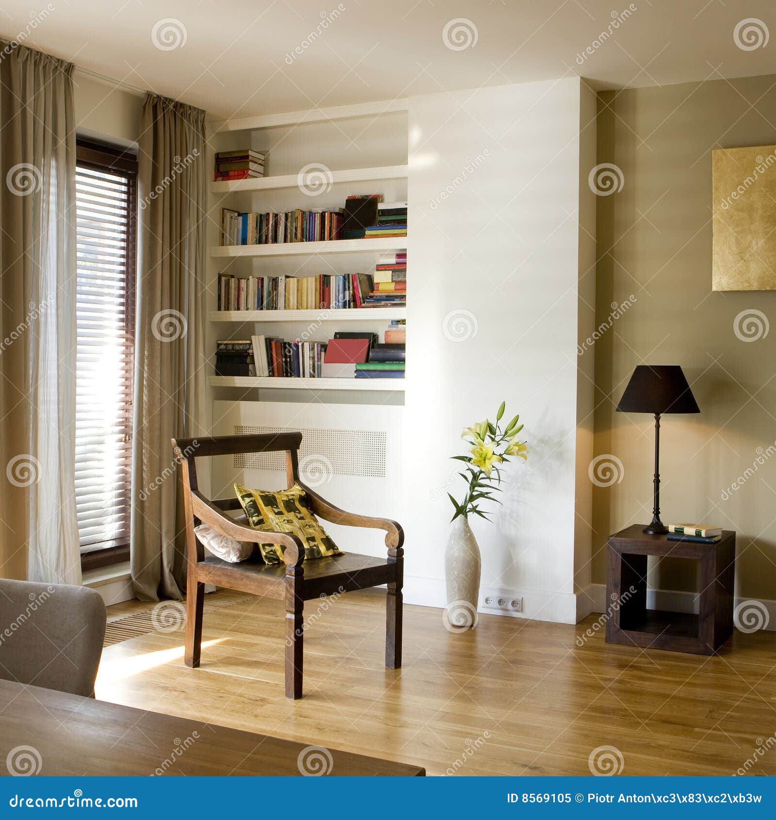 Bookcase stock image. Image of living, book, interior - 8569105