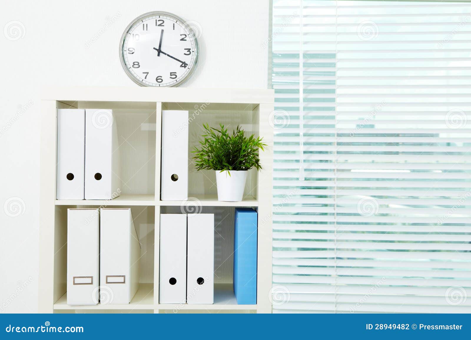 Bookcase with documents stock photo. Image of plant, concept - 28949482