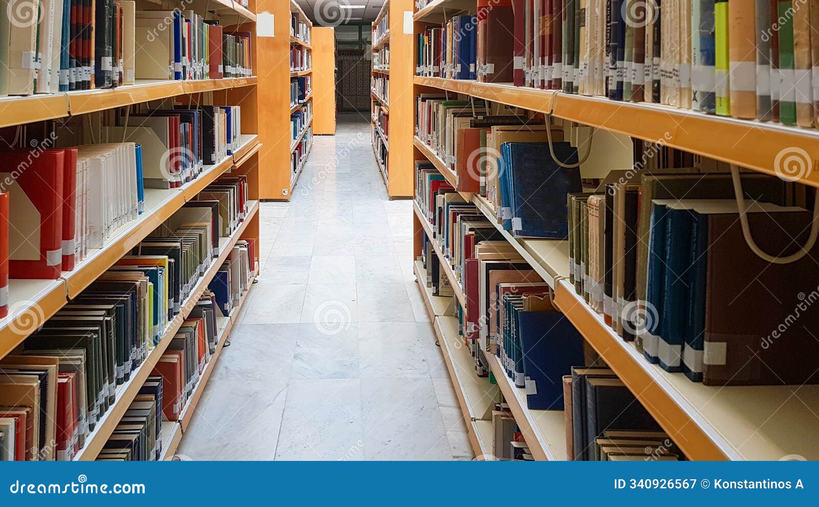 Bookcase Library Books Book Row Many Education Stock Illustration ...