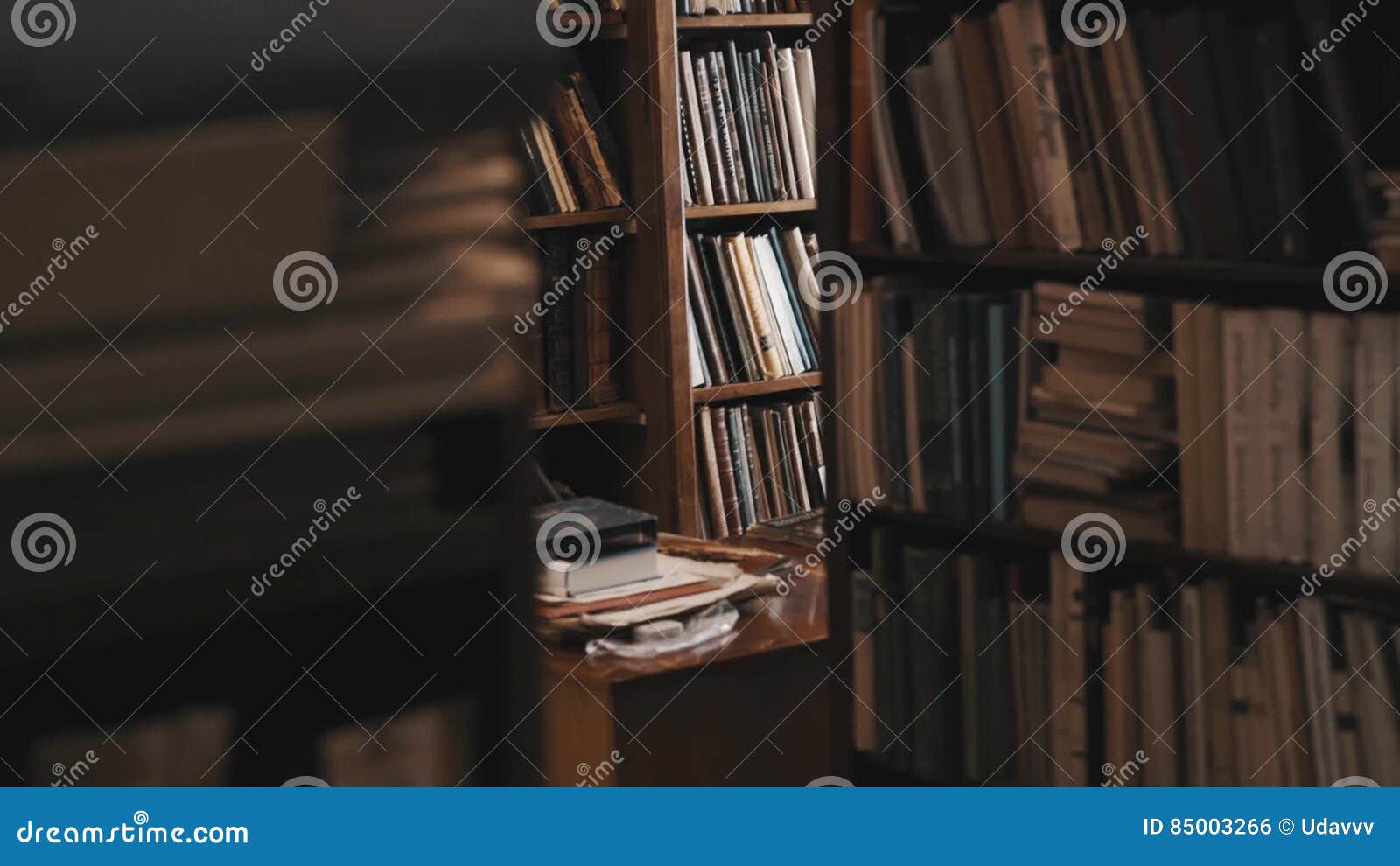 Bookcases Full of Books and Document Folders in Old Style Library ...
