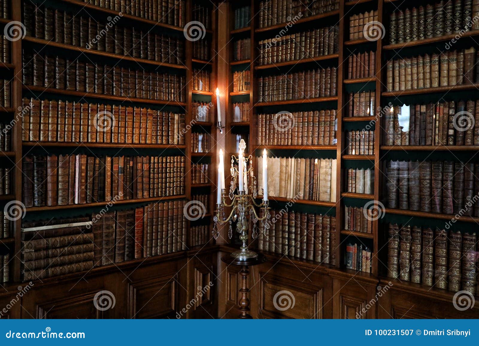 Bookcases with old books stock image. Image of bookcases - 100231507
