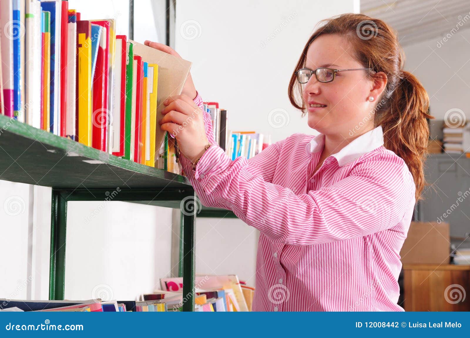 Bookkeeper. stock photo. Image of bookkeeper, collection - 12008442