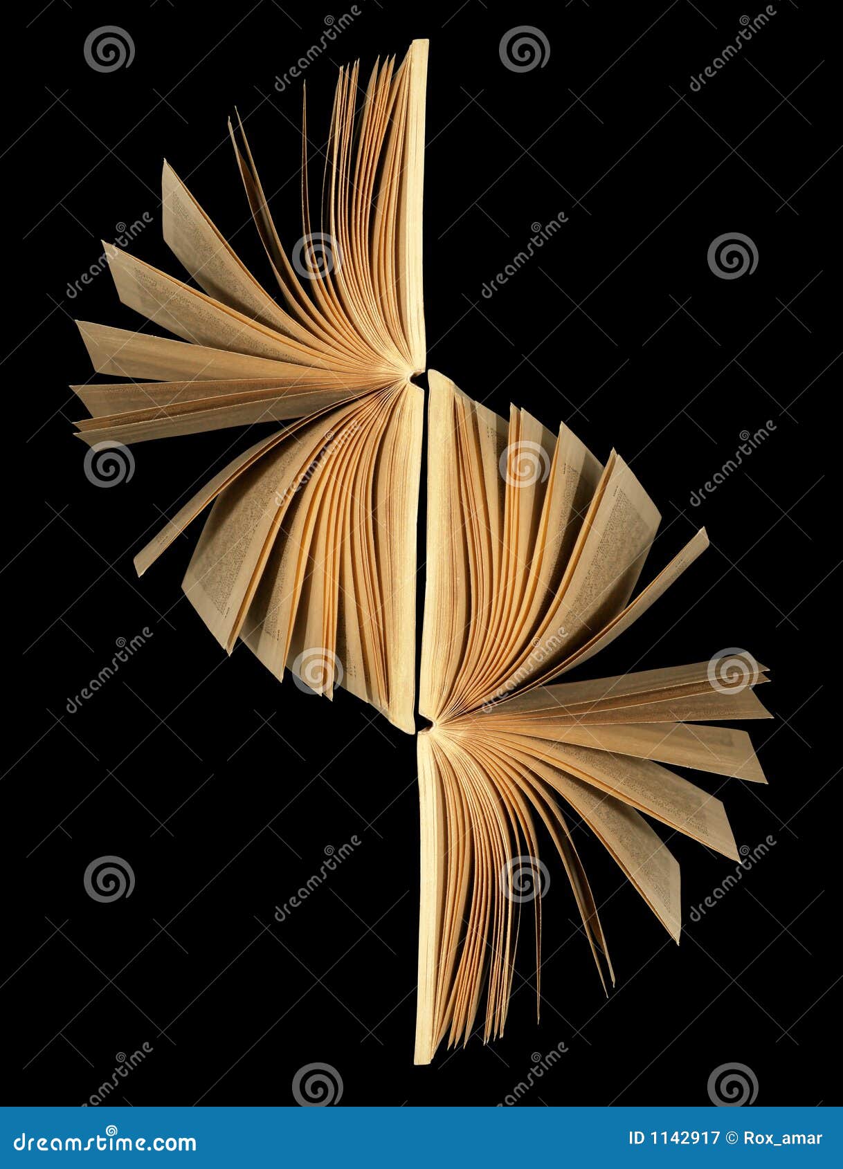 Books stock illustration. Illustration of letters, open - 1142917