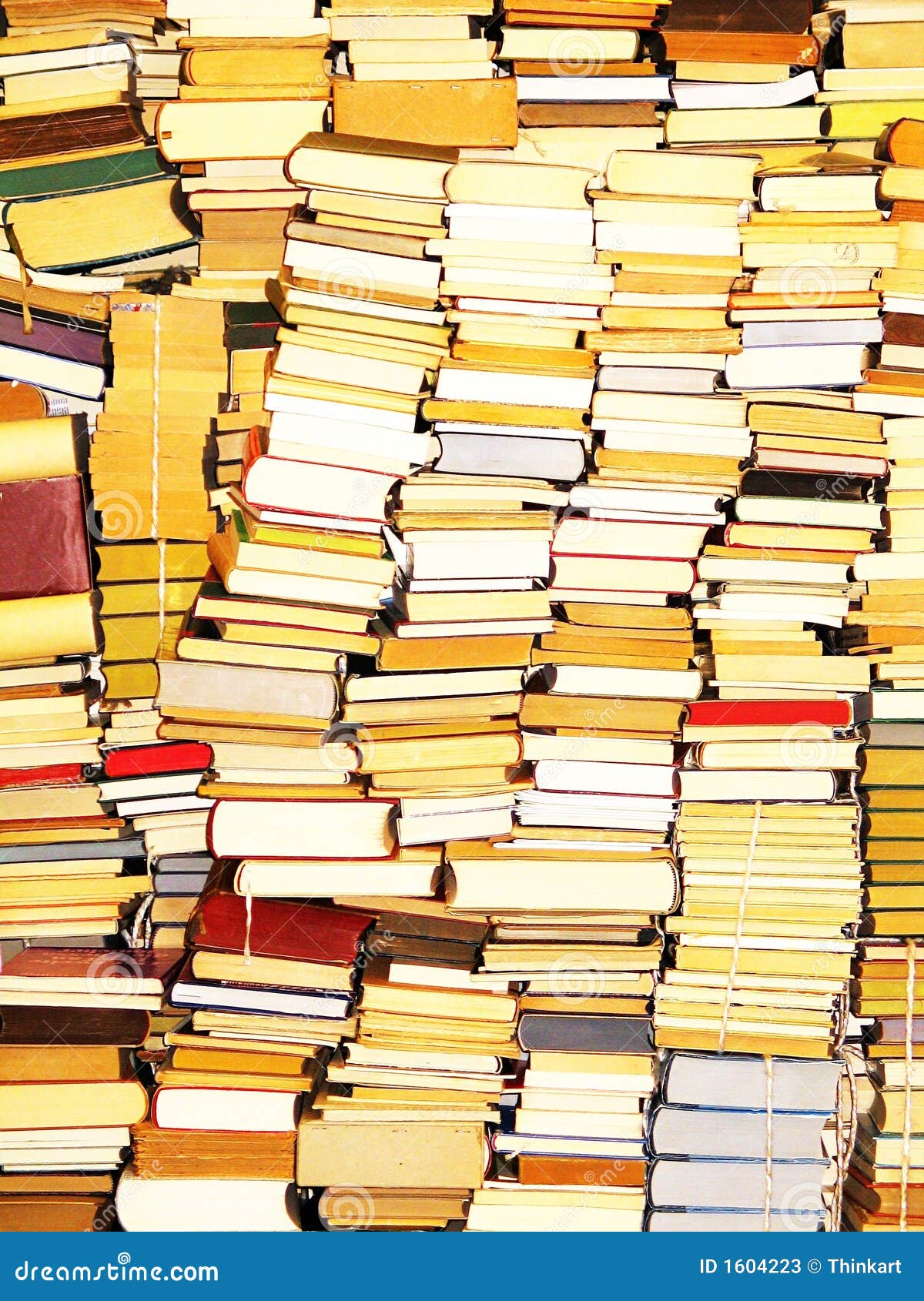 Books only stock image. Image of read, wisdom, library - 1604223