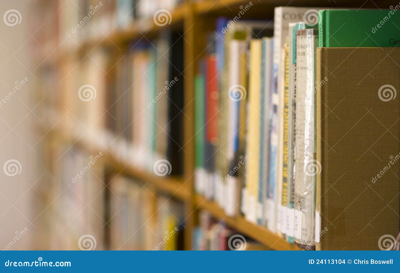 Books Literature on Long Shelf Row in Labrary Stock Photo - Image of ...