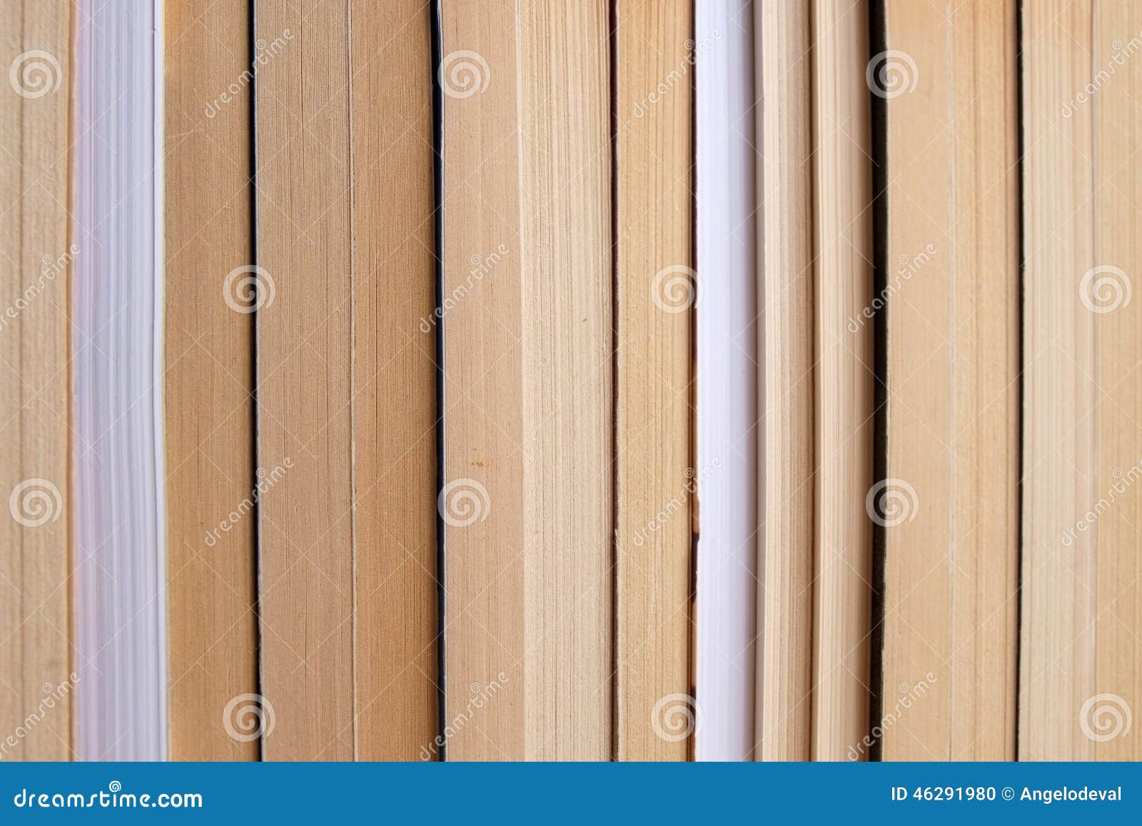 Books Arranged Side-by-side on a Shelf Stock Photo - Image of drama ...
