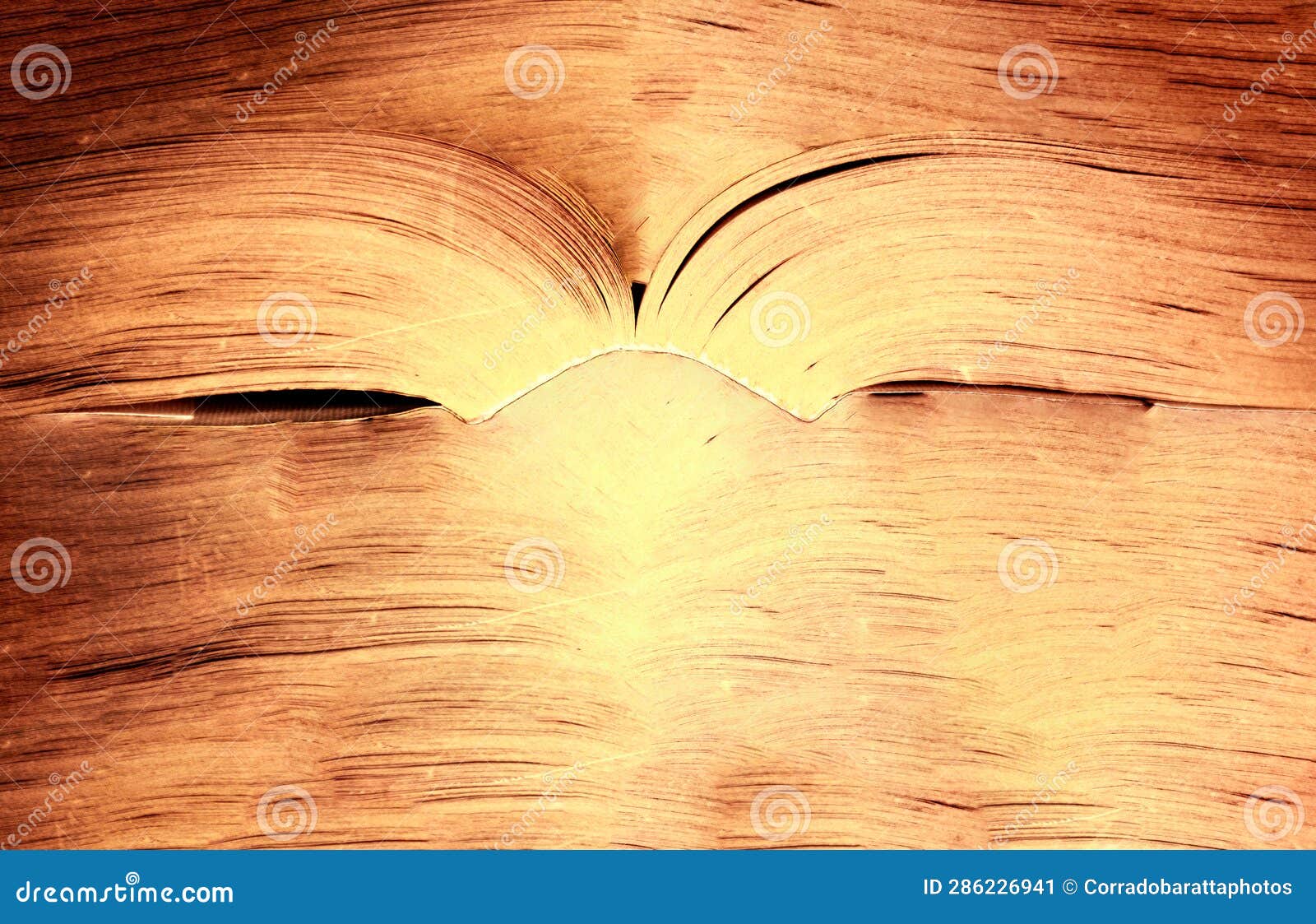 A Book among a Million Pages Stock Image - Image of library, black ...