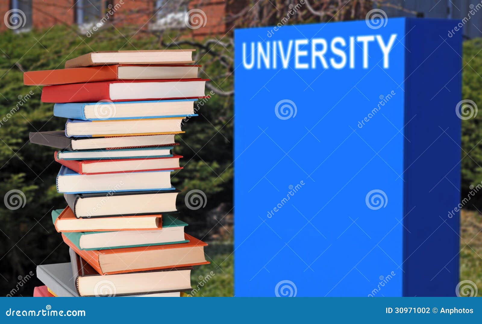 Books on Campus of University Stock Photo - Image of green, sign: 30971002