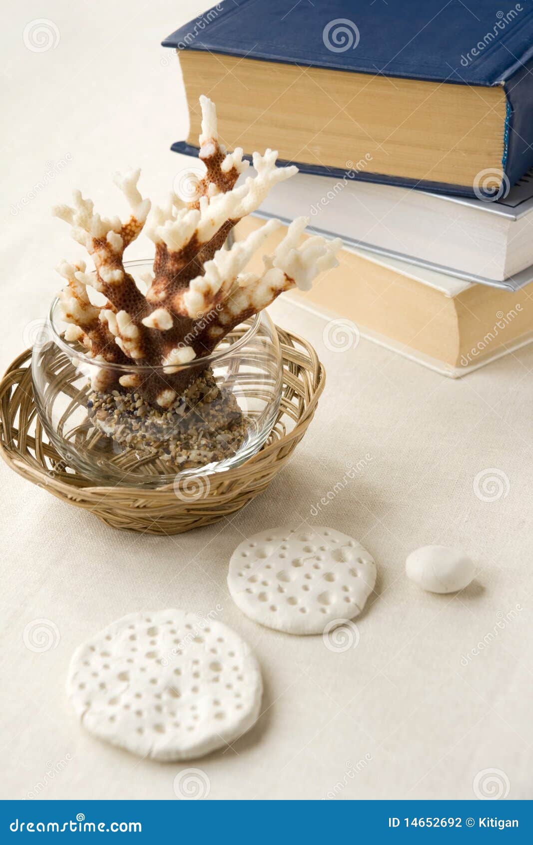 Books and Decoration Elements Stock Photo - Image of glass, craft: 14652692