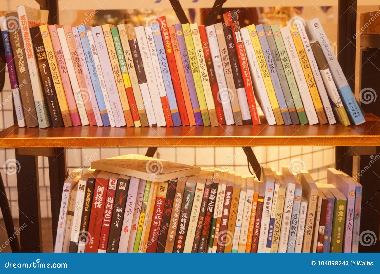 Books on Display, in the Bookcase Editorial Stock Photo - Image of ...