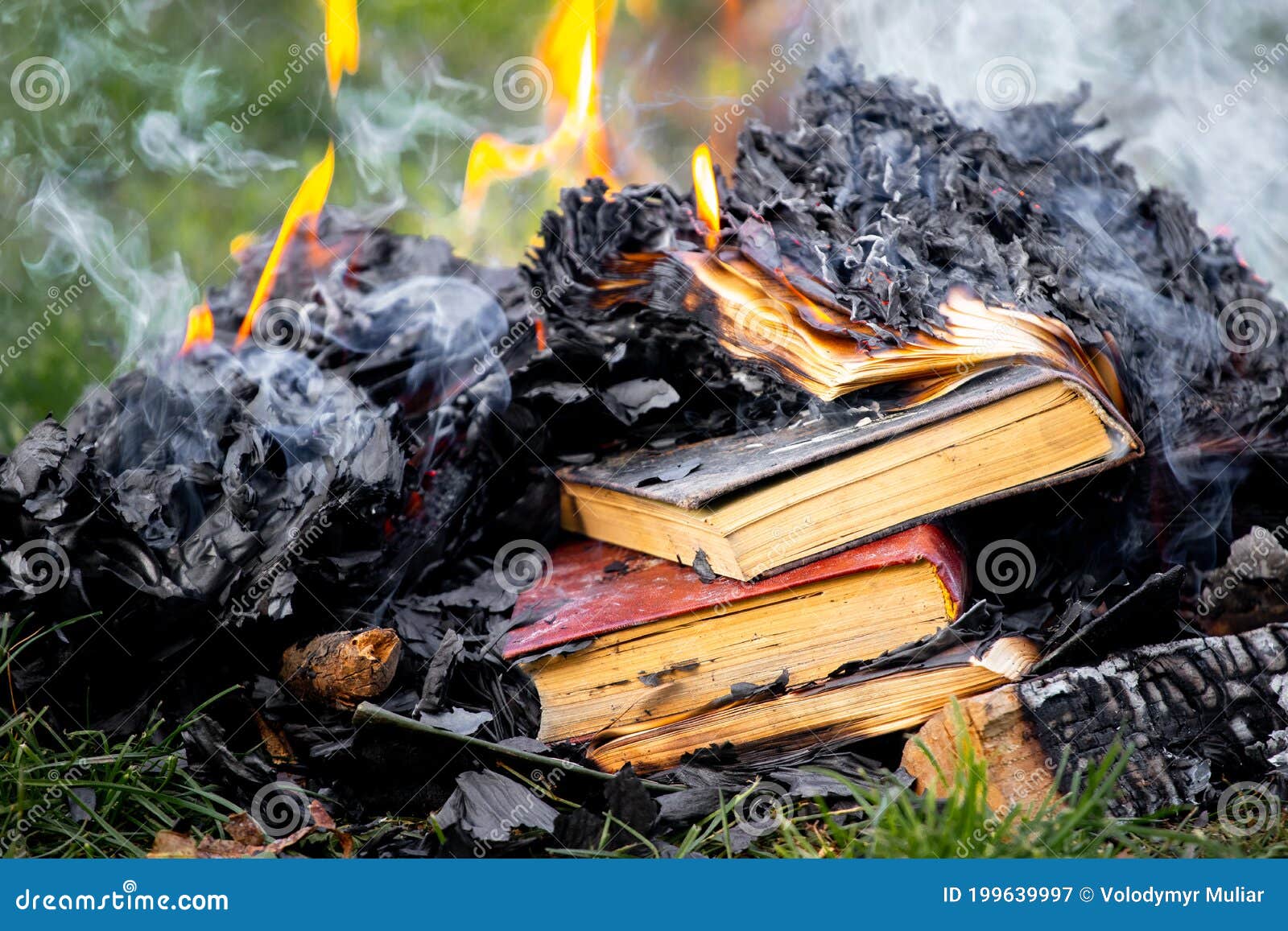 Books on Fire, Burning Books As an Illustration of Ignorance Stock ...