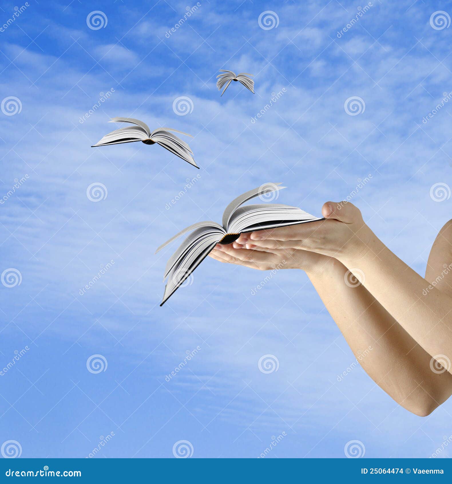 Books flying from hands stock photo. Image of education - 25064474