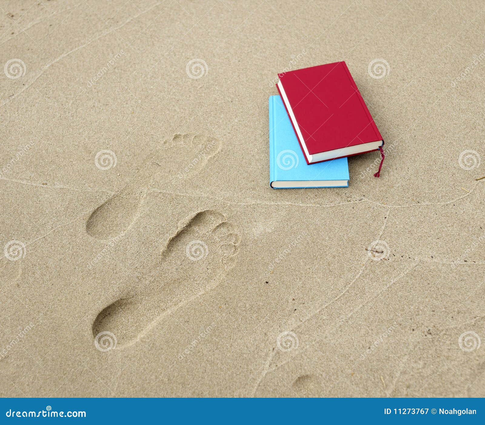 Books and footprints stock image. Image of book, leisure - 11273767