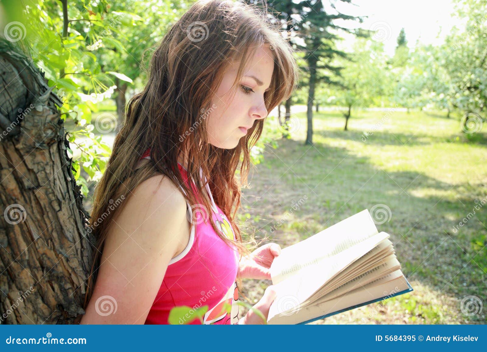 Books forest stock image. Image of green, freedom, book - 5684395