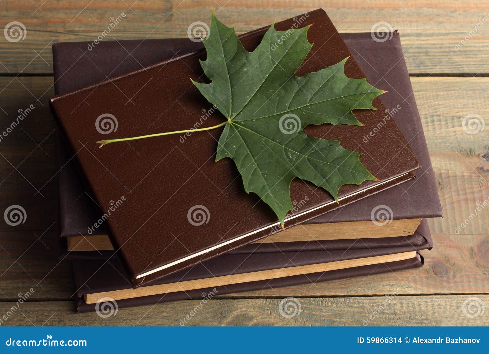 Books with leaves stock photo. Image of paper, wooden - 59866314