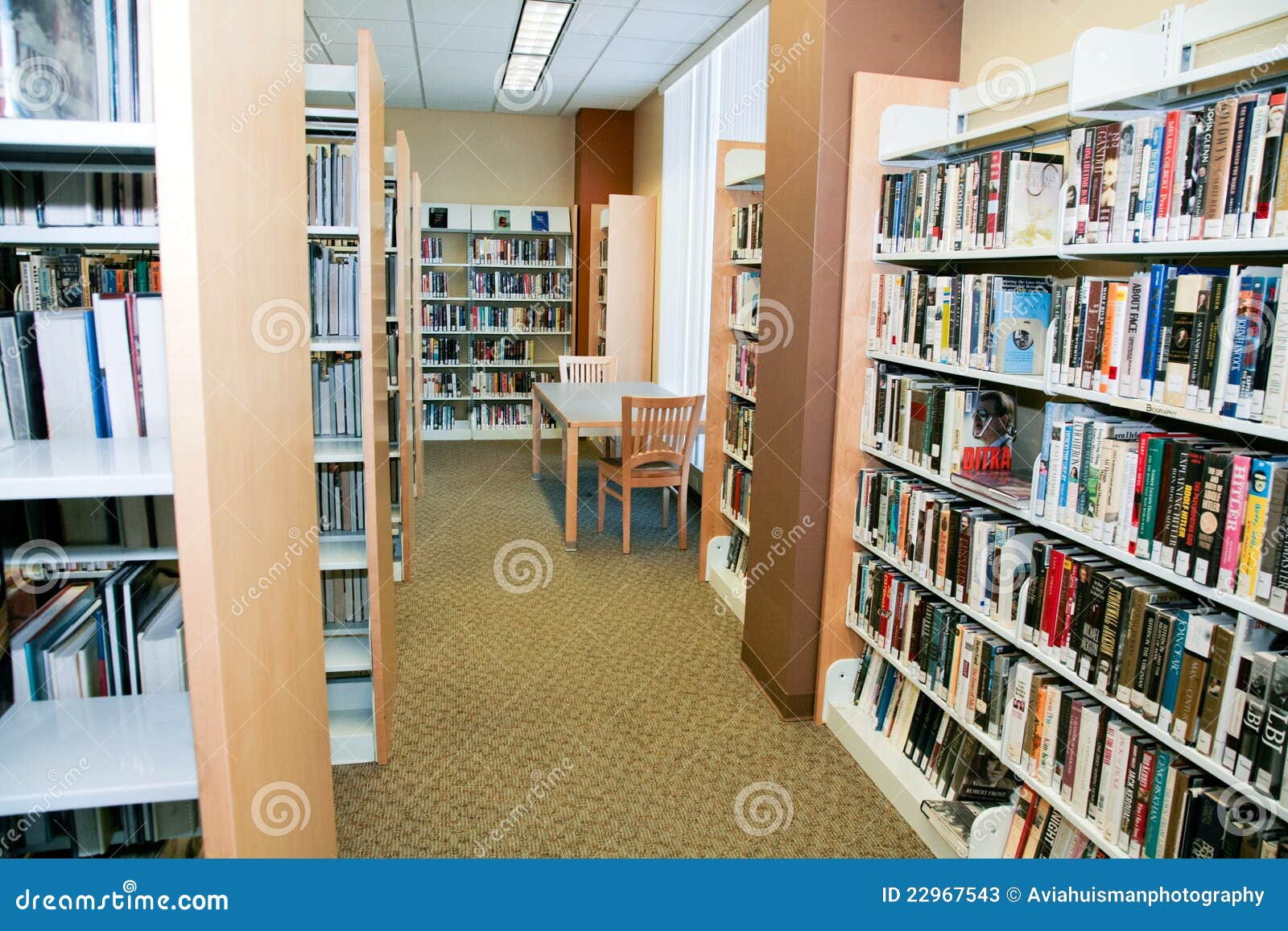 Books at Library editorial stock photo. Image of data - 22967543