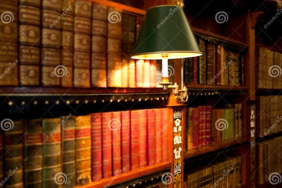 Books on library shelves stock image. Image of quiet - 20785201