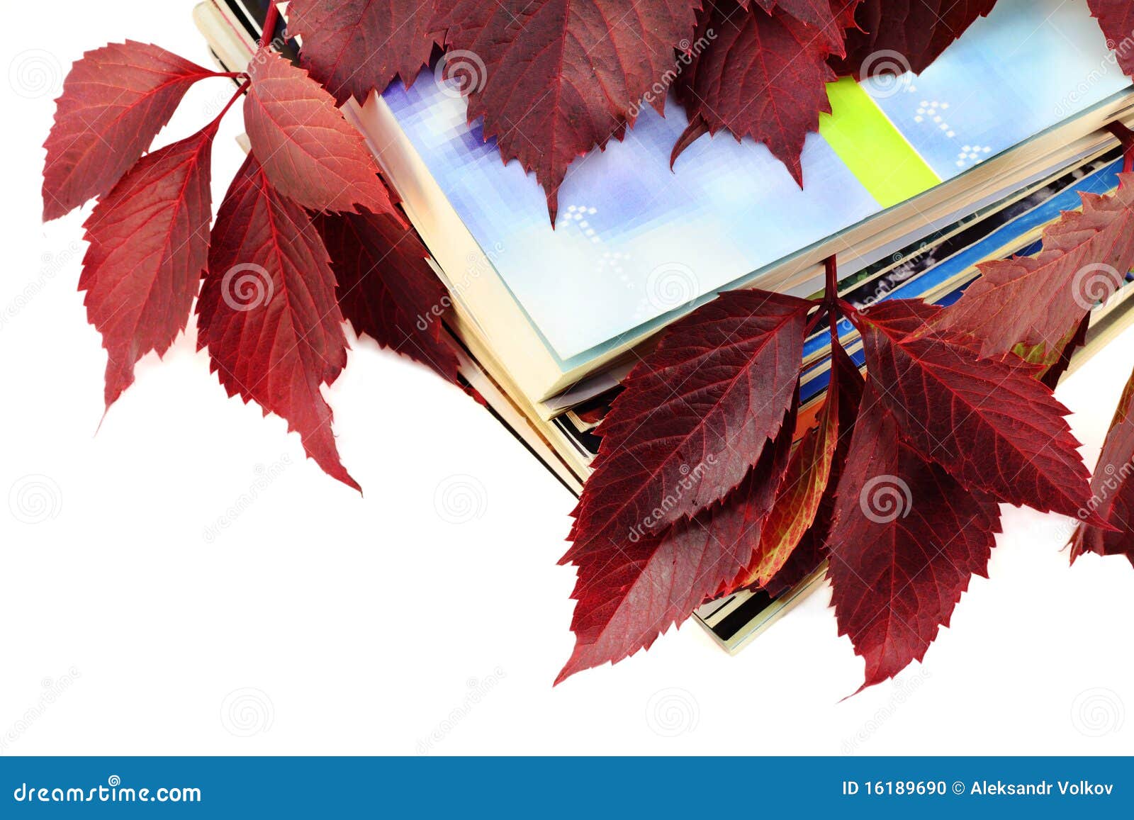 Books and Magazines with Red Autumn Leaves Stock Photo - Image of ...