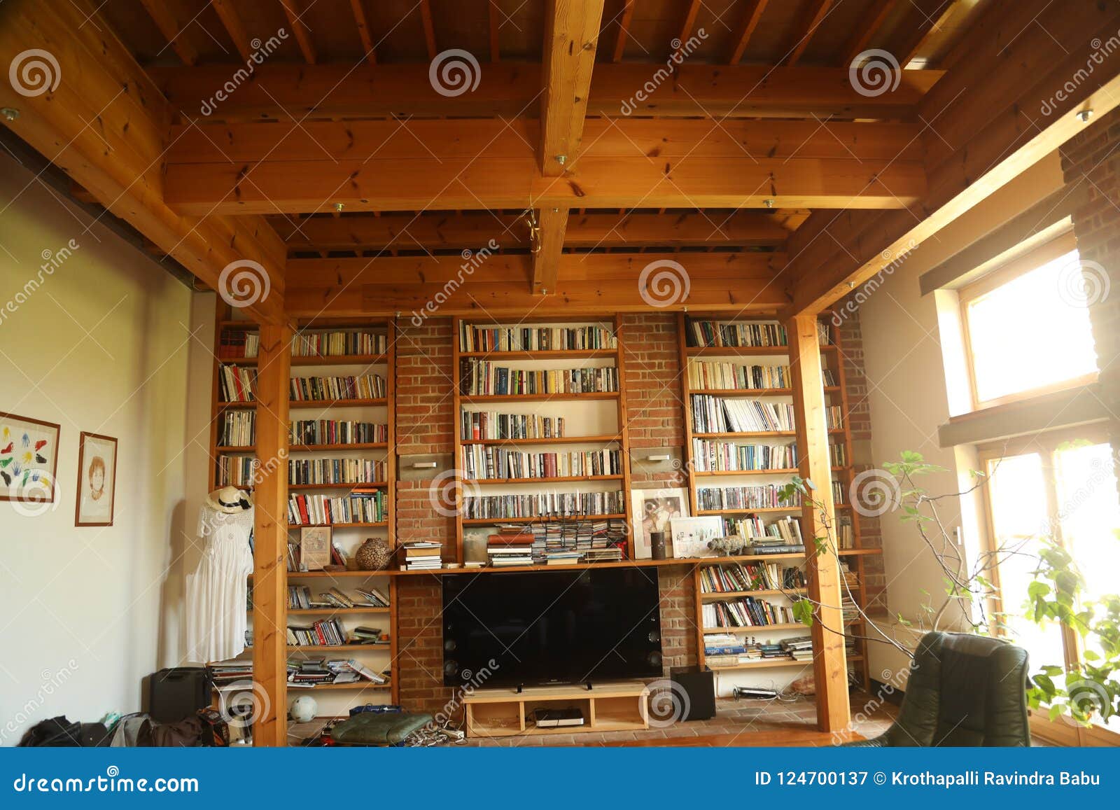 Books in the Personal Library Editorial Photography - Image of black ...