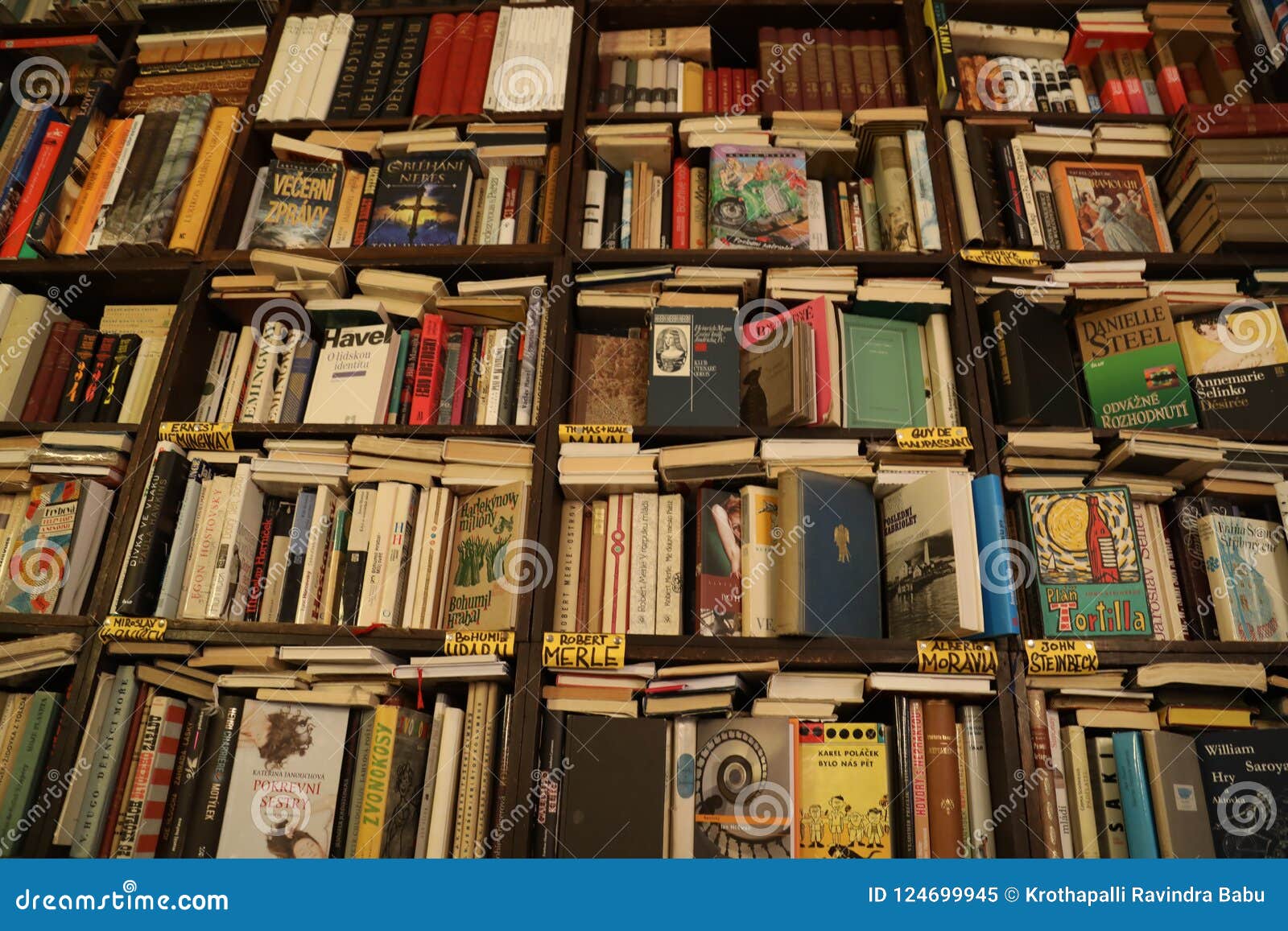 Books in the Personal Library Editorial Image - Image of cupboard ...