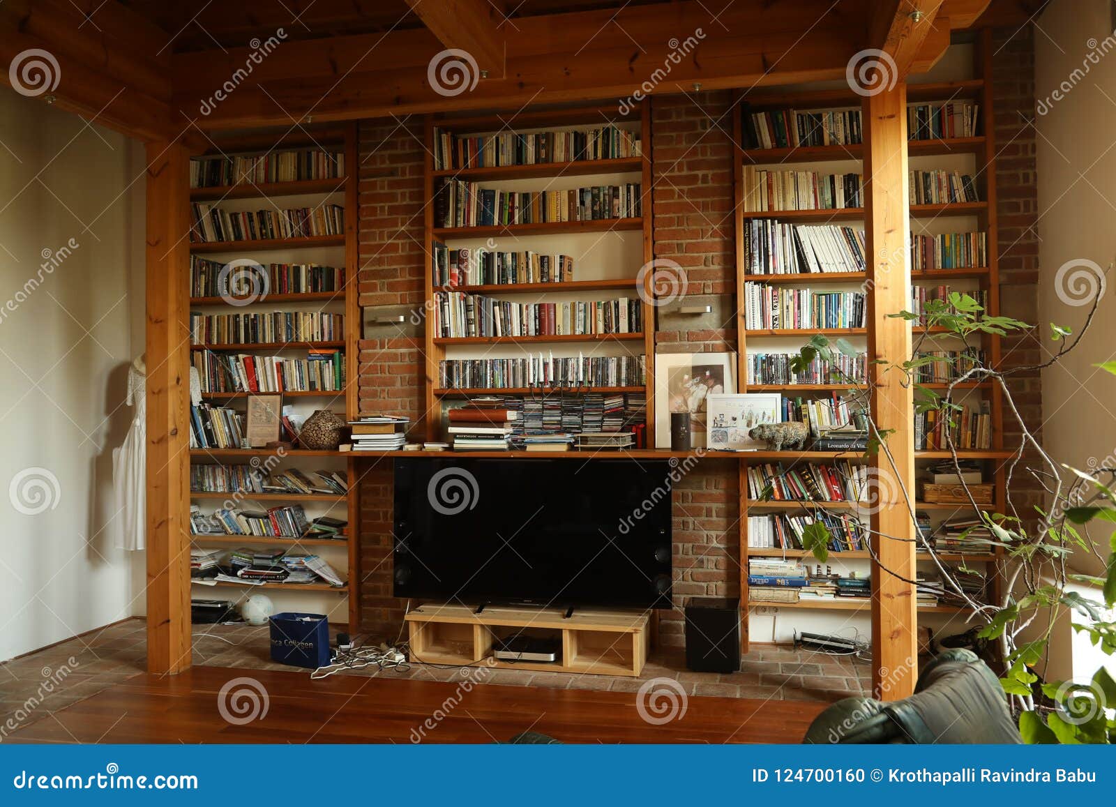Books in the Personal Library Editorial Image - Image of display ...