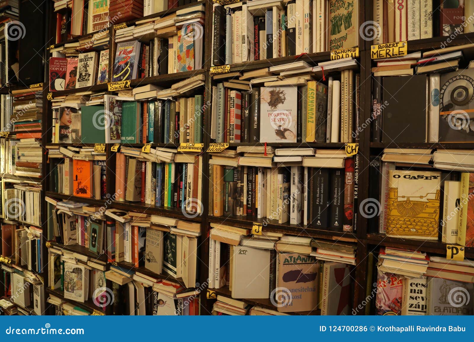Books in the Personal Library Editorial Photo - Image of horror ...