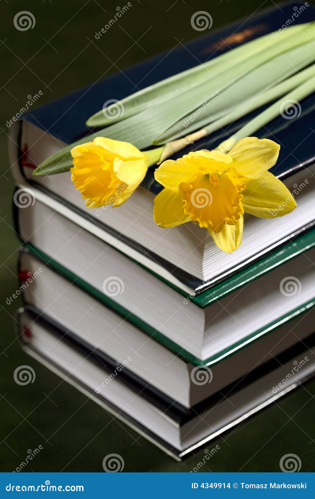 Books Piled stock photo. Image of beautiful, novel, pile - 4349914