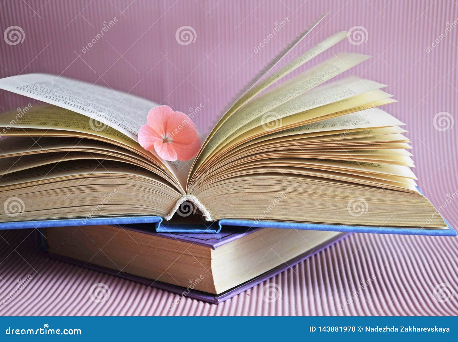 Books and pink flower. stock photo. Image of background - 143881970