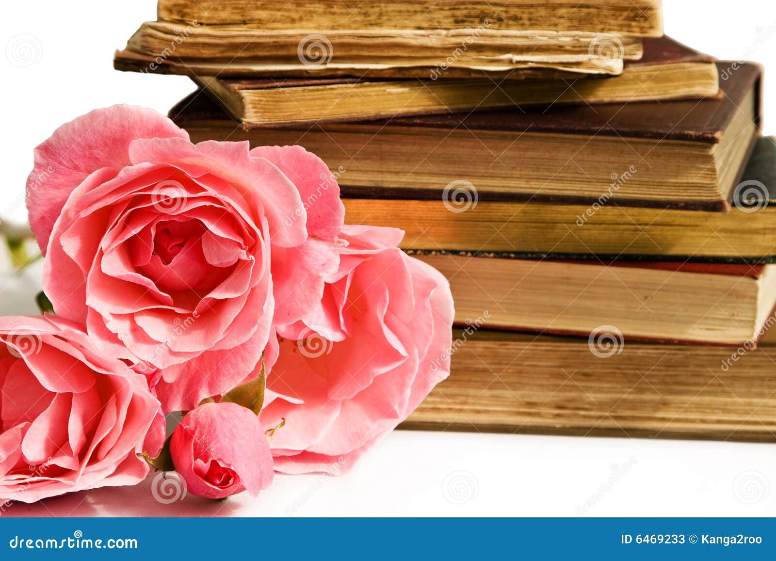 Books and roses stock image. Image of book, background - 6469233