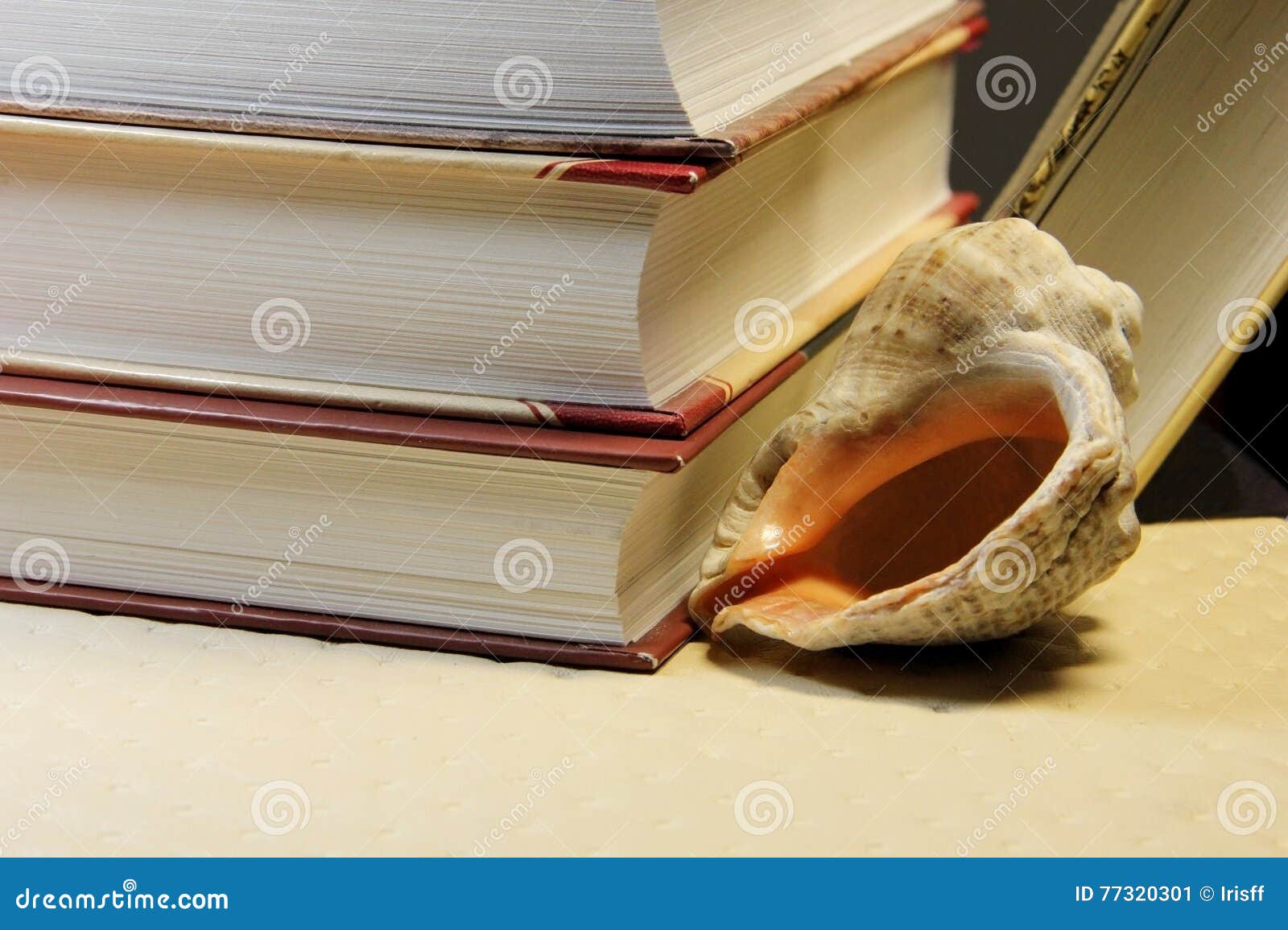 Books and sea shell stock image. Image of stack, life - 77320301