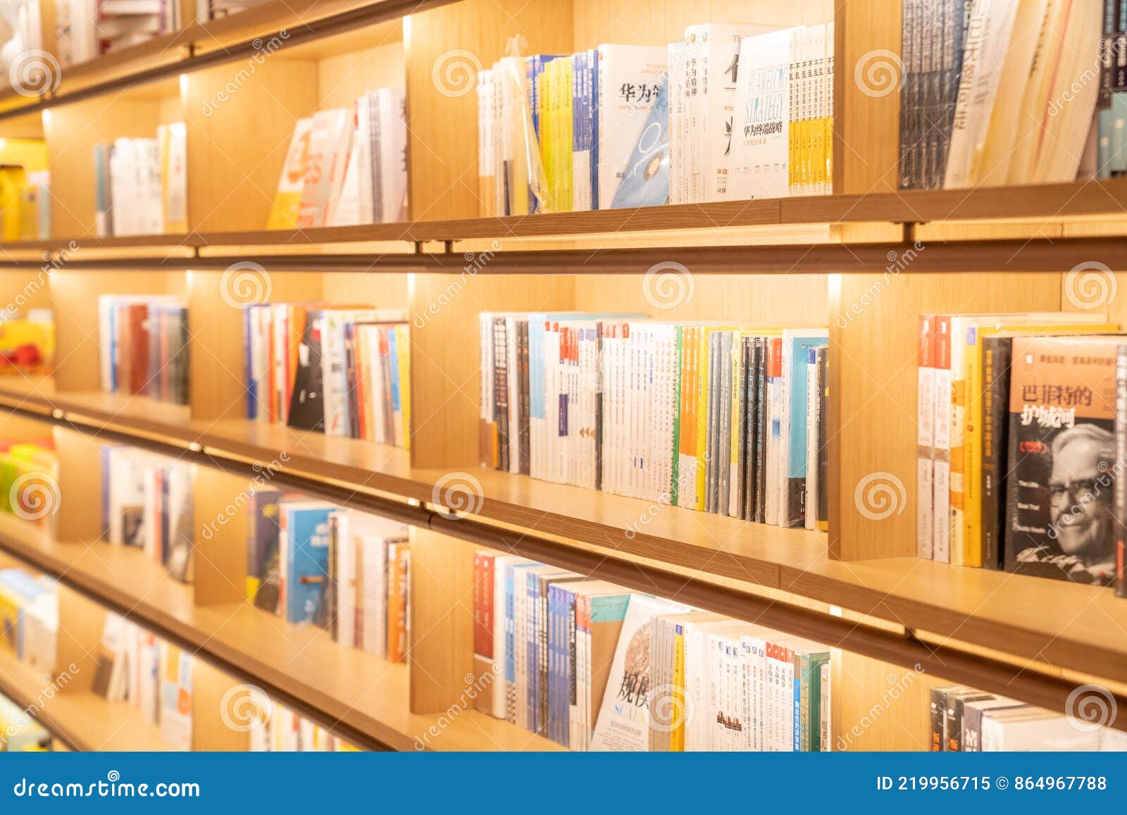 The Books and Shelves in the Library Editorial Image - Image of light ...