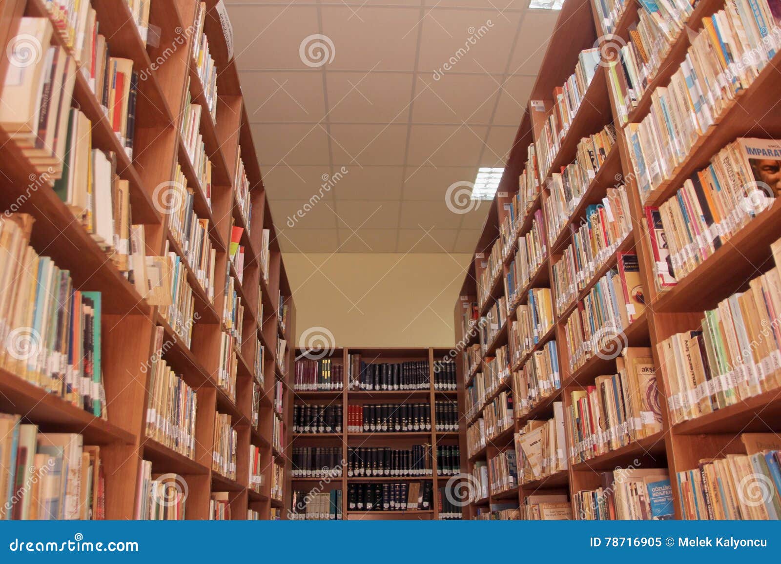 Books on a Shelf in Library. Editorial Image - Image of education ...