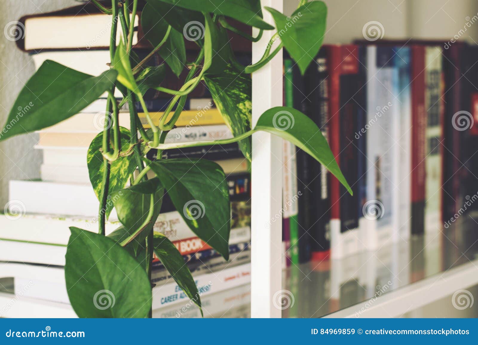 Books On Shelf Picture. Image: 84969859