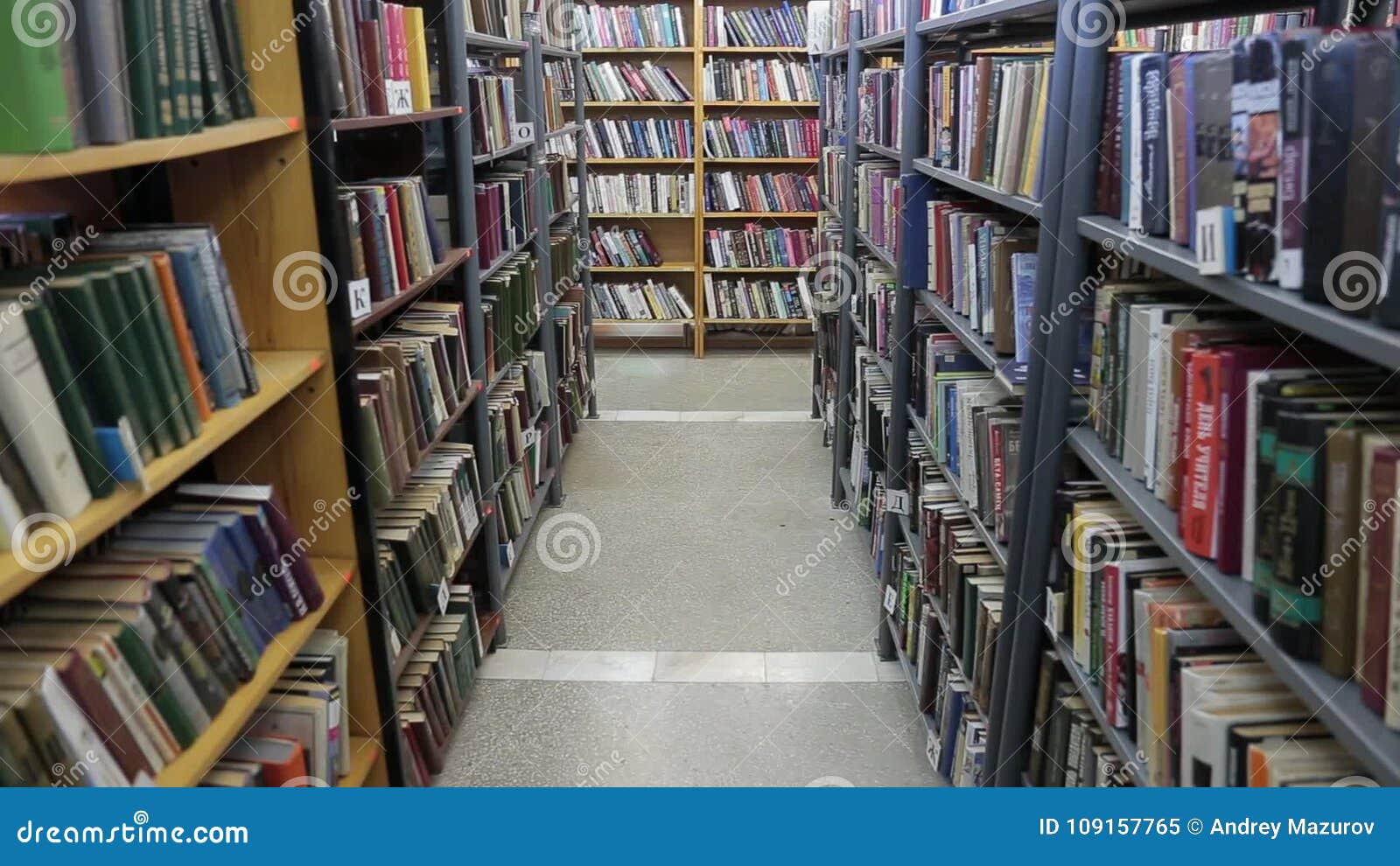 Books on Shelves. Sliding Camera in Library. Bookstore Stock Video ...