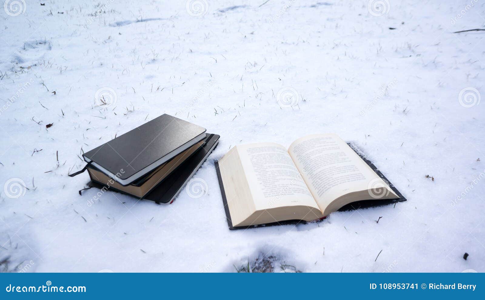 Books in snow stock image. Image of open, frost, pages - 108953741