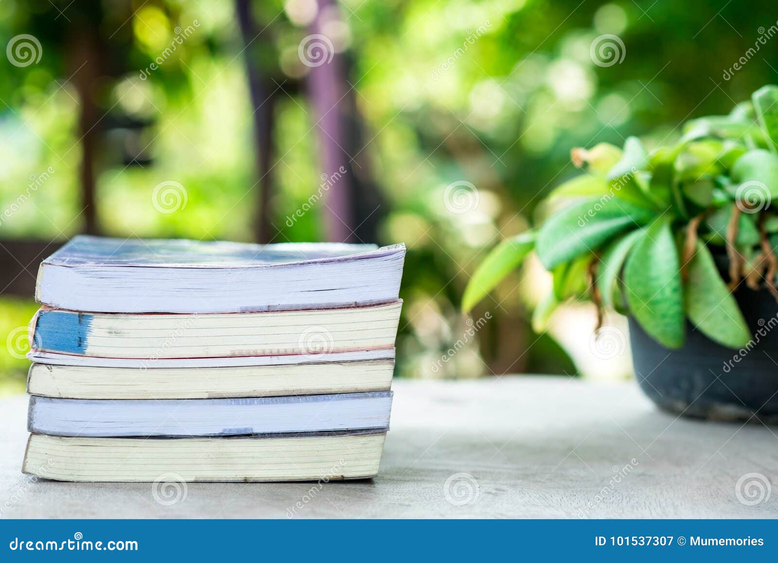 Books Stacked with Decor Plant on Table Stock Image - Image of plant ...