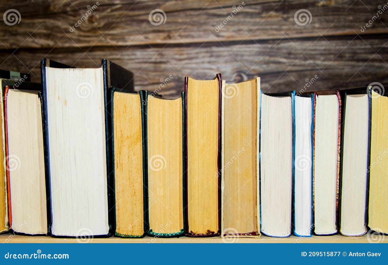 Books Standing on the Shelf Stock Image - Image of paper, classics ...