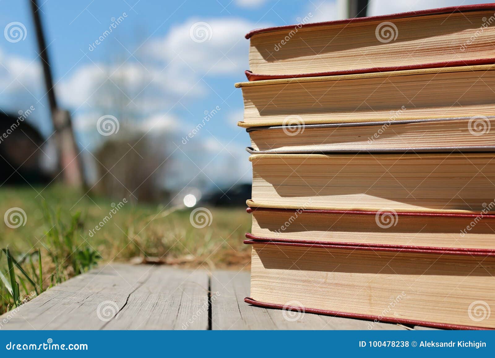Books standing on a table stock photo. Image of group - 100478238