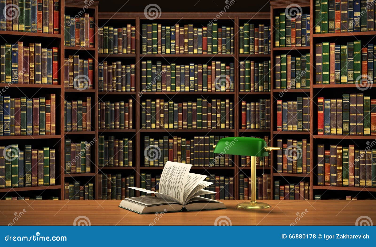 Books on the Table in the Focus Stock Photo - Image of bookstore, flame ...