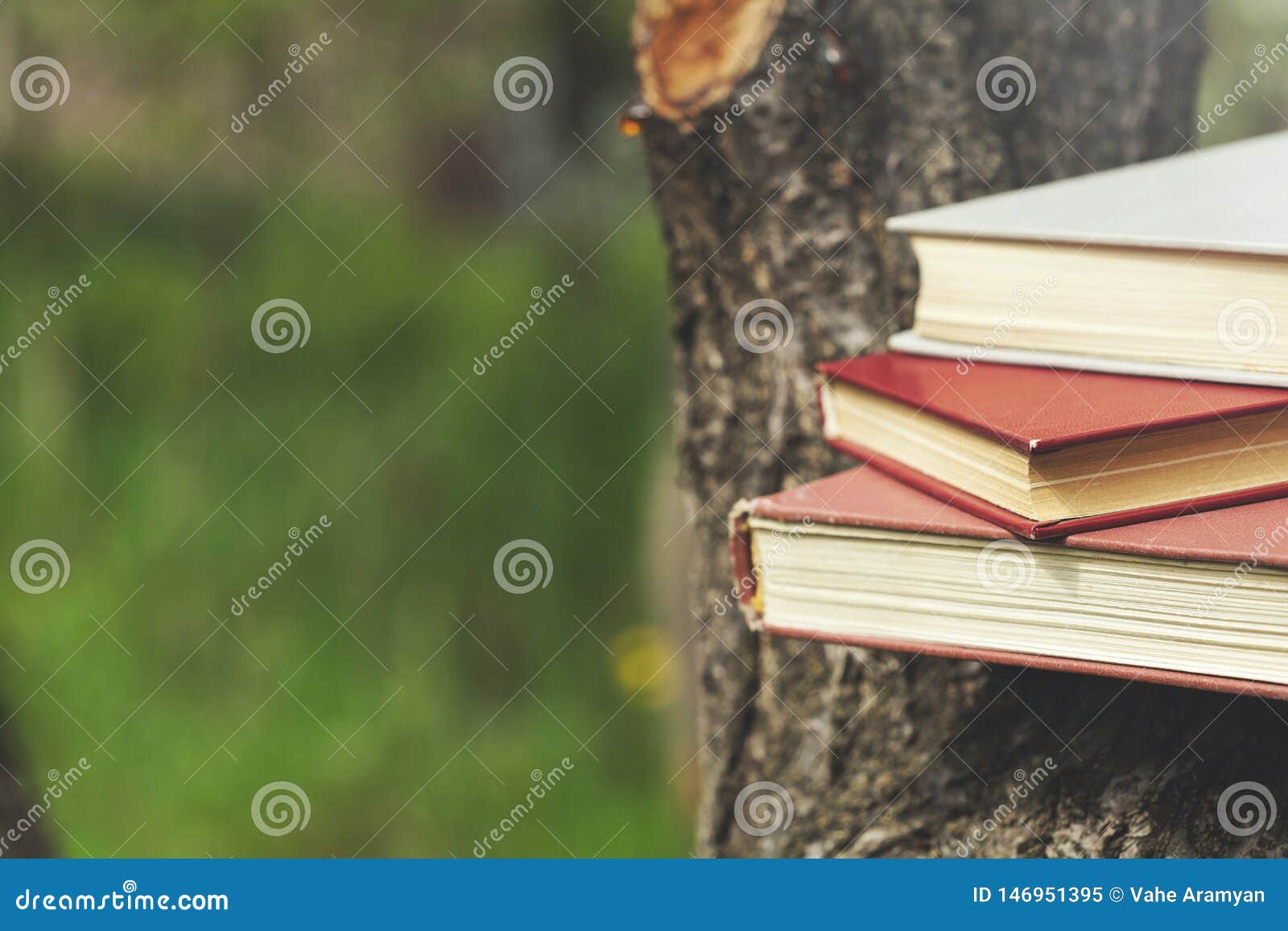 Books on tree stock image. Image of green, tree, books - 146951395