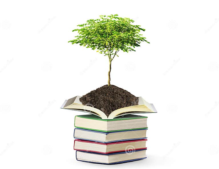 Books with tree stock illustration. Illustration of nature - 31398736