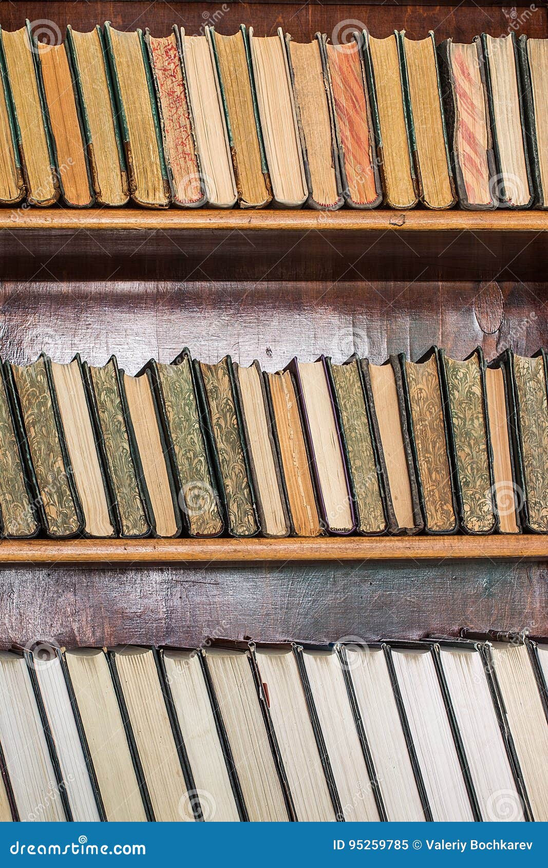 Books on Wooden Shelves in the Library Stock Image - Image of ancient ...
