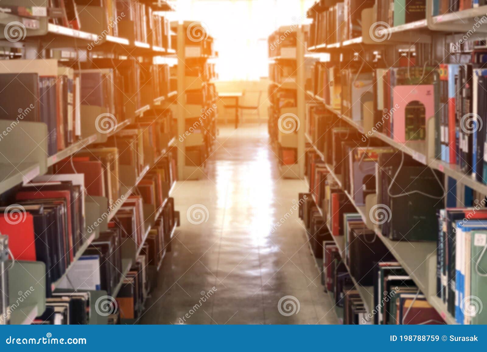 Bookshelf in Public Library. Blur Effect Stock Image - Image of cabinet ...