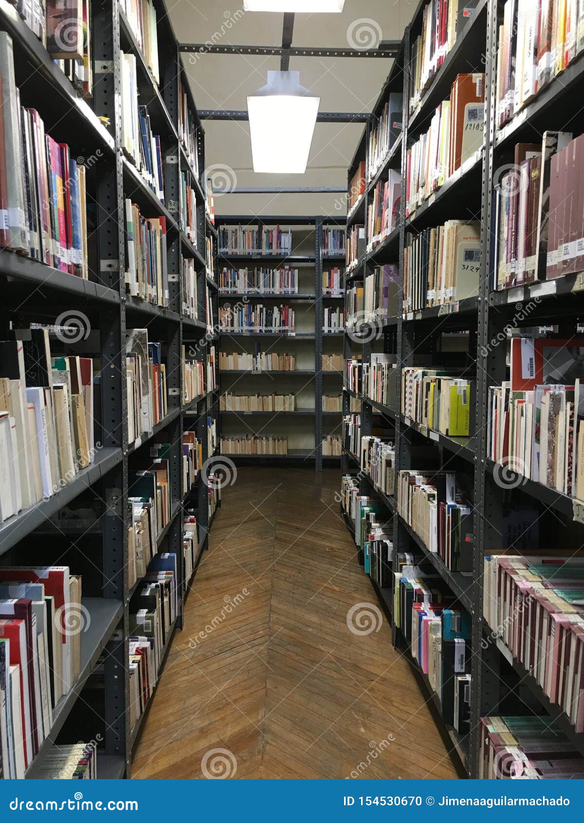 Public Library Book Shelf Filled with Books Editorial Image - Image of ...