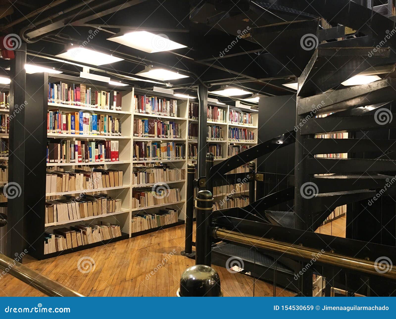 An Old Library, Filled With Dusty And Forgotten Tomes, Surrounded By ...