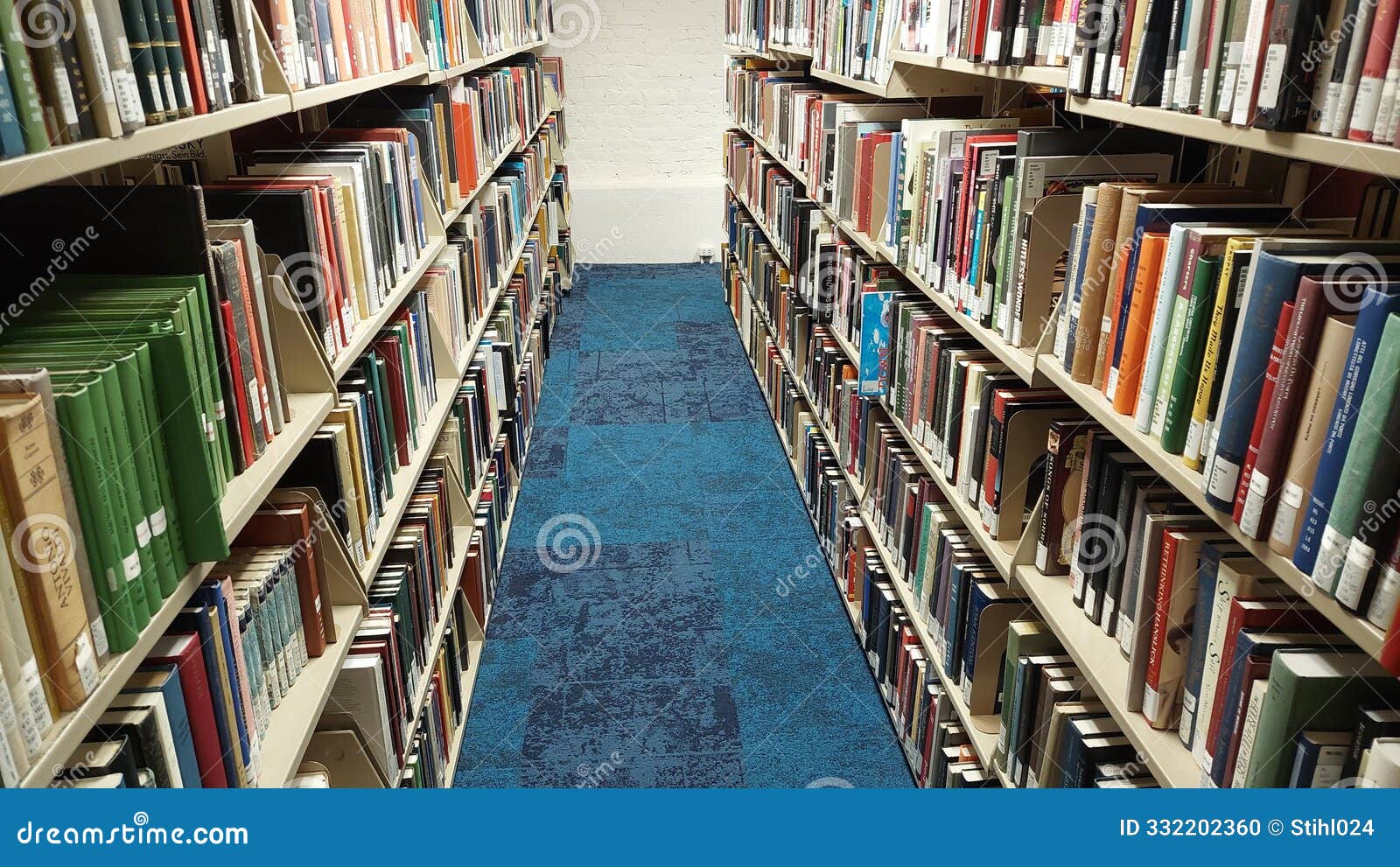 Bookshelves Filled with Books in a Modern Library Stock Photo - Image ...