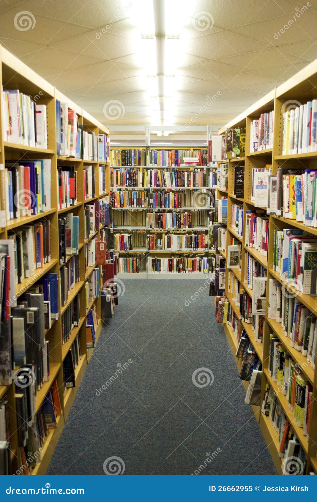 Bookshelves in a Library editorial image. Image of read - 26662955
