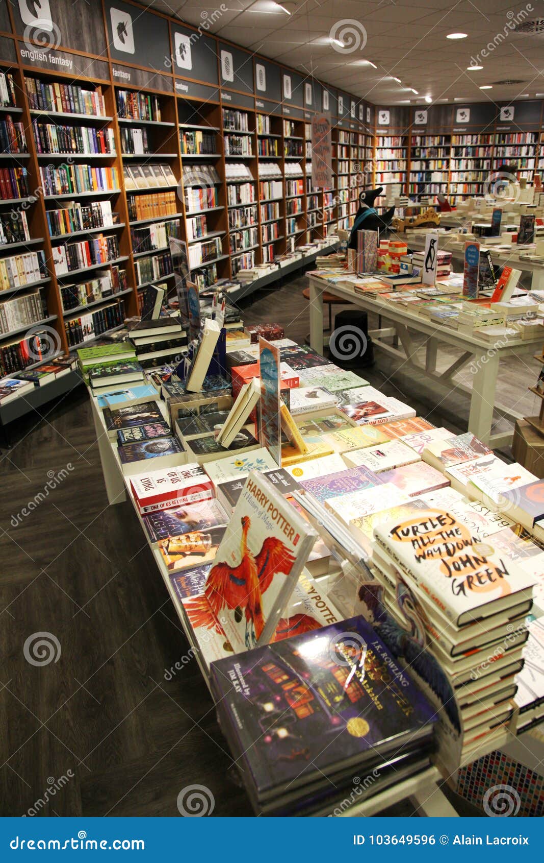 Bookstore books reading editorial photo. Image of books - 103649596