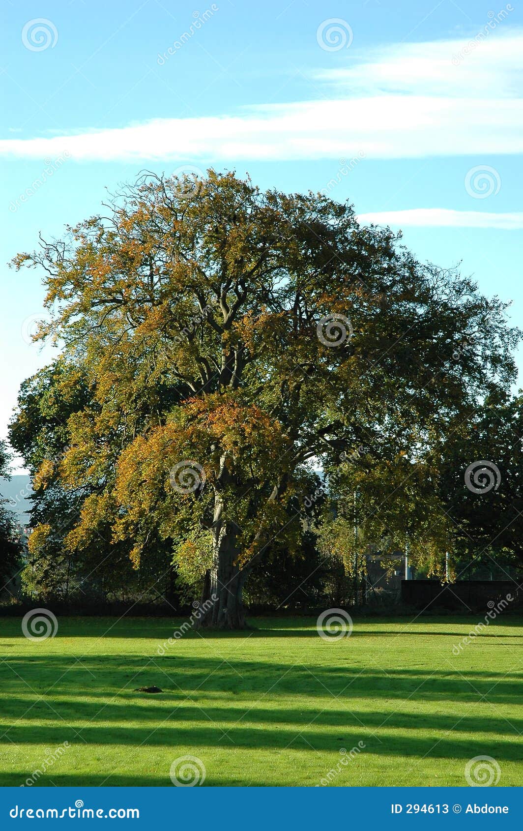 Boom Picture. Image: 294613